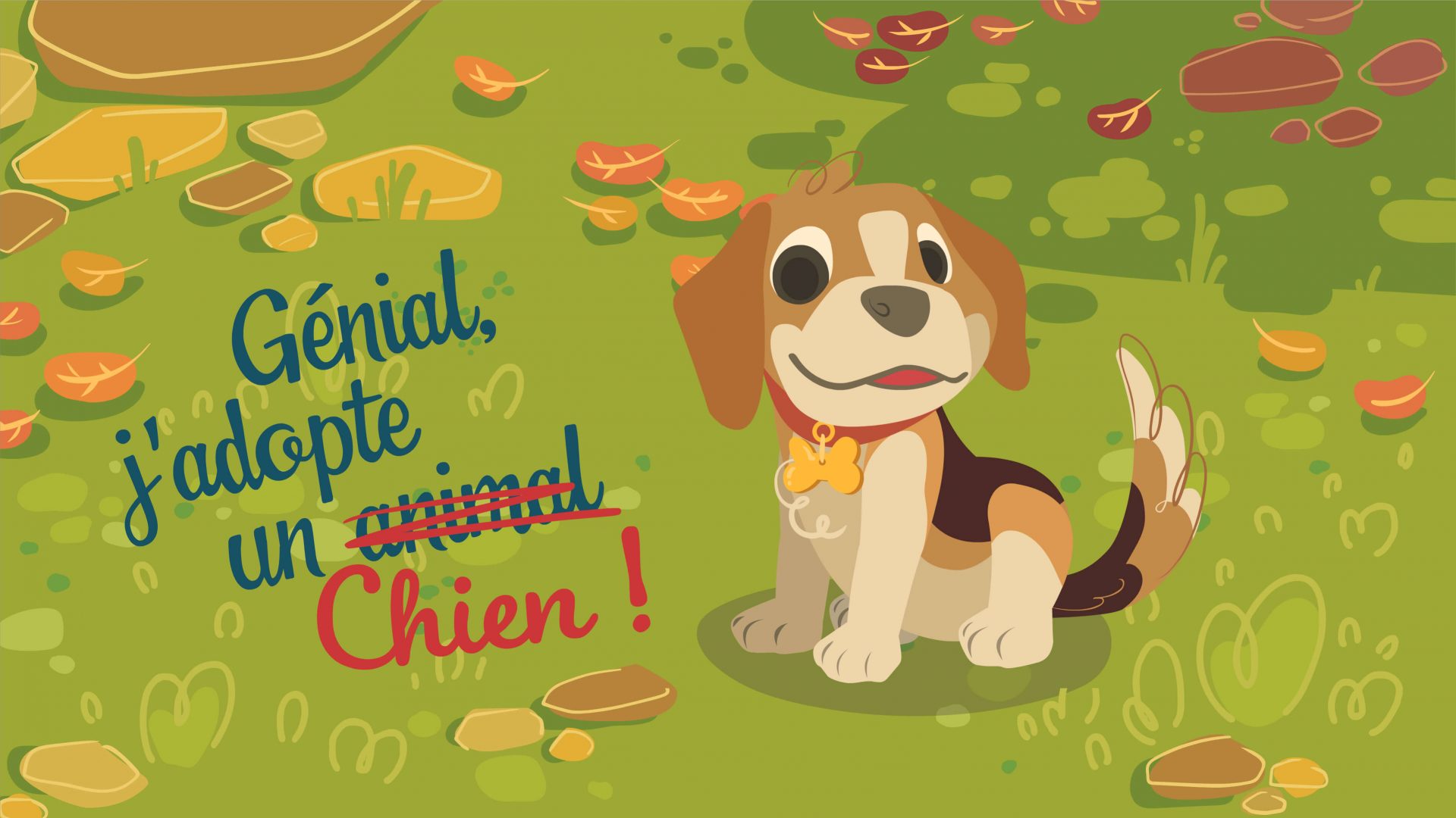 10 activités pour découvrir les animaux ! - enfants